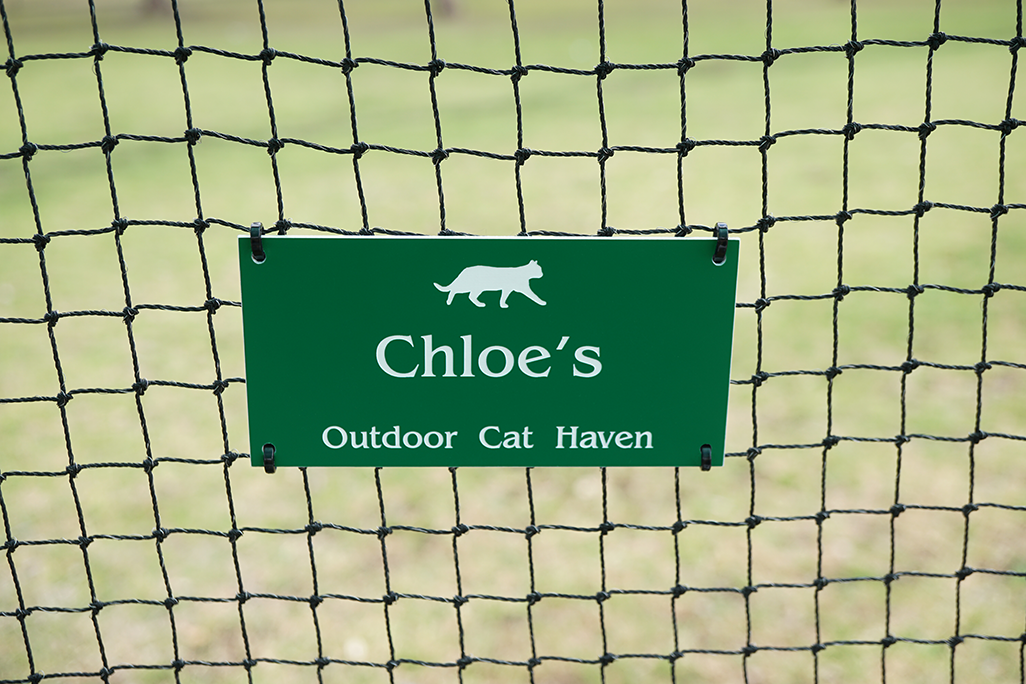 Personalised Name Plaques | Cat Nets – Catnets