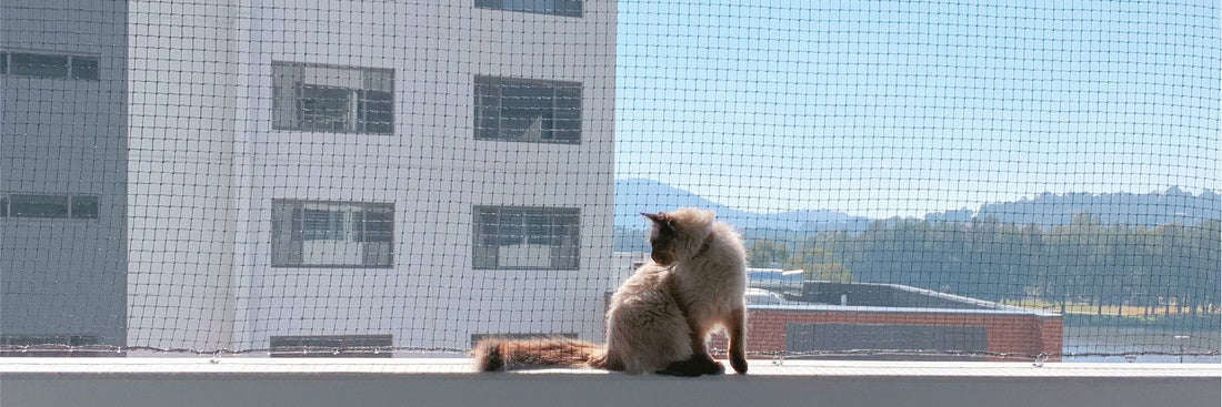 Catnets | Cat Enclosures, Cat nets, Cat Netting, Cat Runs, Containment