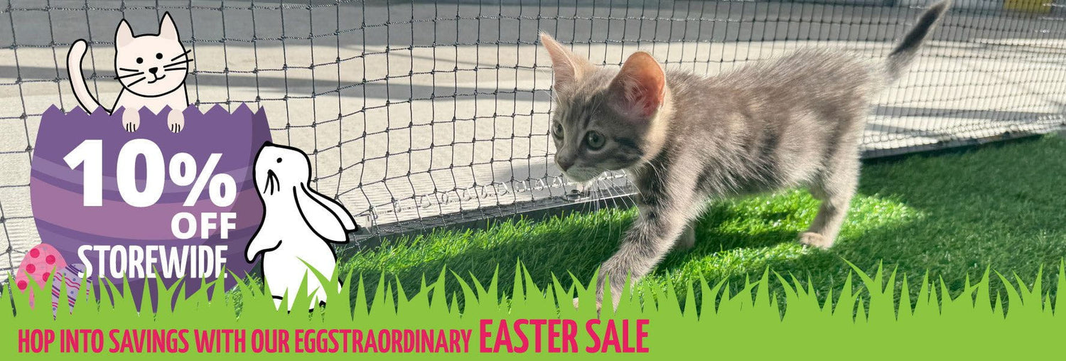 Catnets | Cat Enclosures, Cat nets, Cat Netting, Cat Runs, Containment