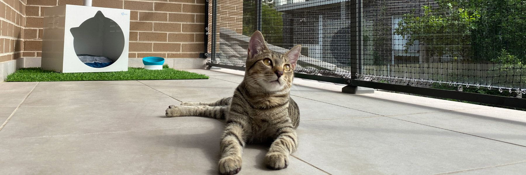 Catnets | Cat Enclosures, Cat nets, Cat Netting, Cat Runs, Containment