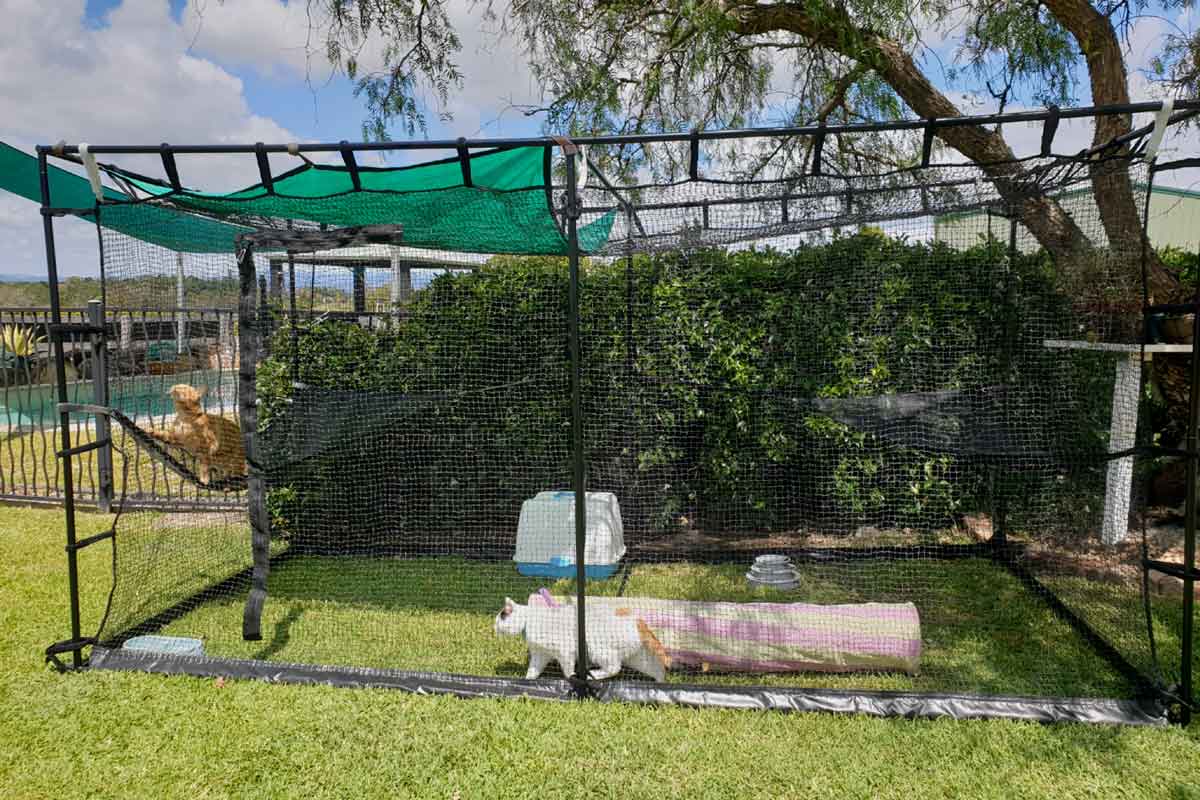 Premium Portable Cat Enclosure Double 3.6m – Catnets