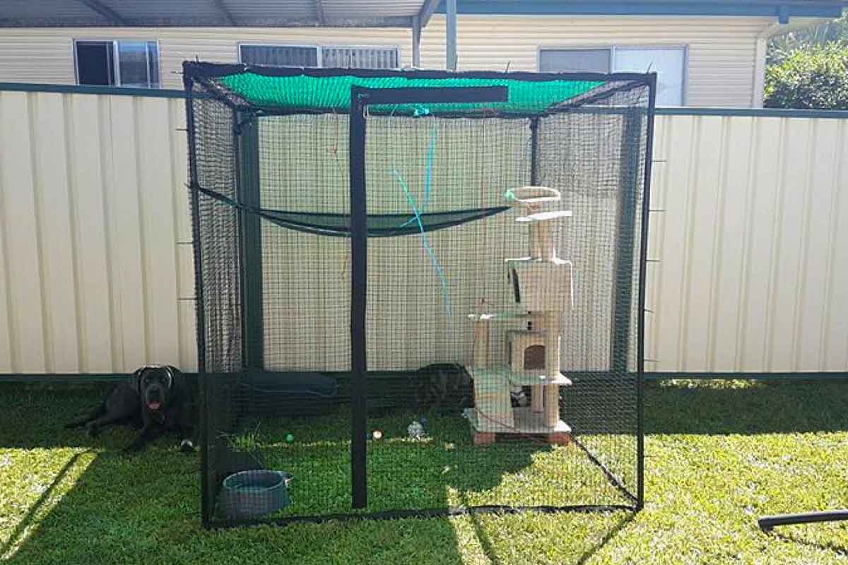 Single Size 1.8m Freestanding Cat Enclosure – Catnets