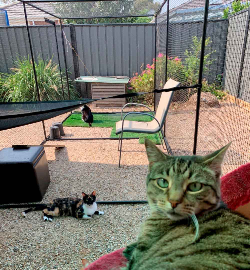 Triple Size 5.4m Freestanding Cat Enclosure – Catnets