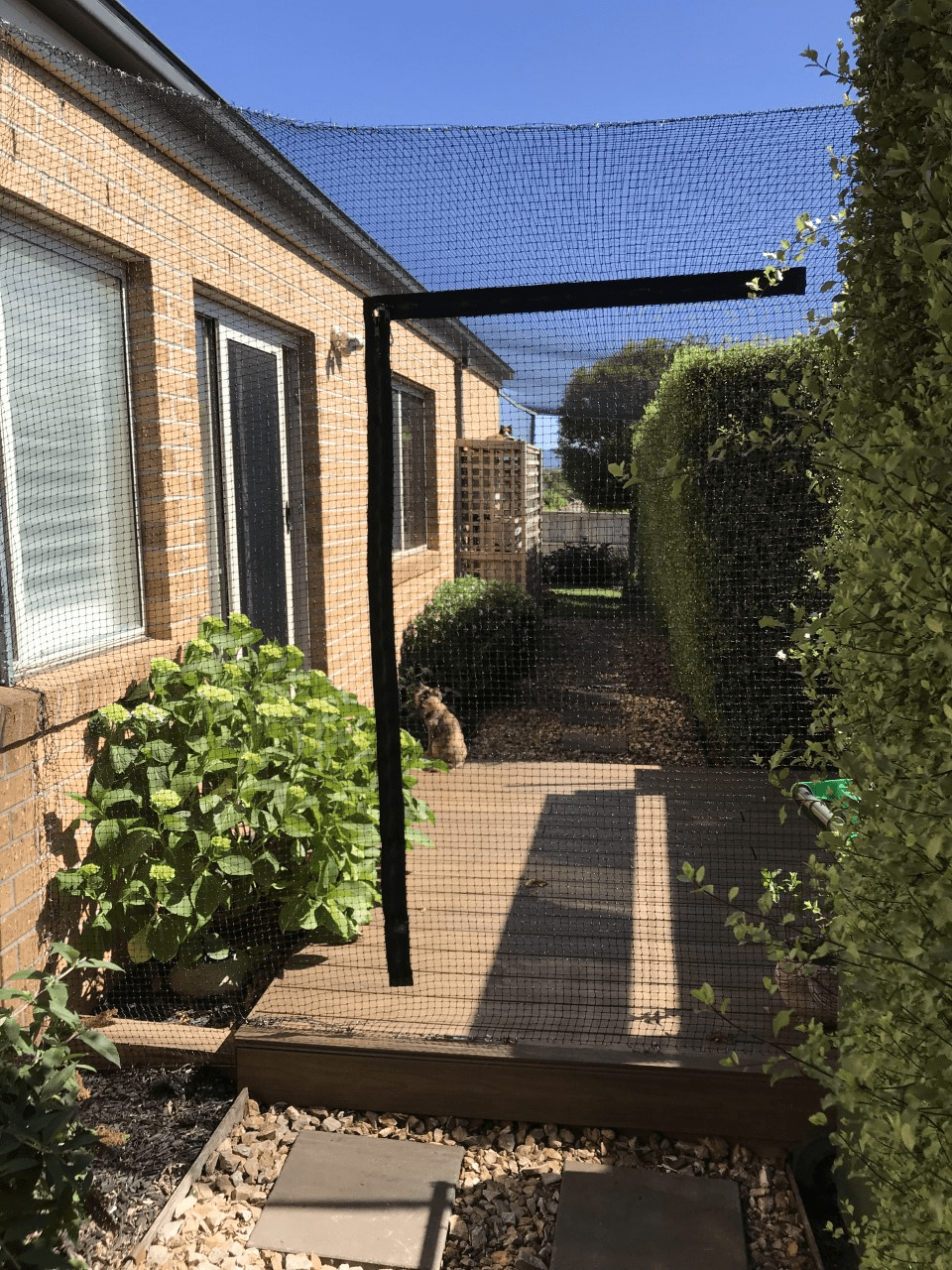 Stainless Steel Complete Wall Net with F-Zipper (3.5m x 3.5m Net) – Catnets