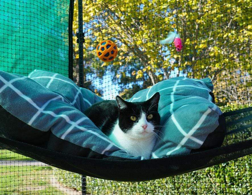 Premium Portable Cat Enclosure 1.8m | Cat Nets – Catnets